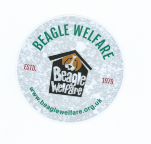Car Window Sticker - Beagle Welfare